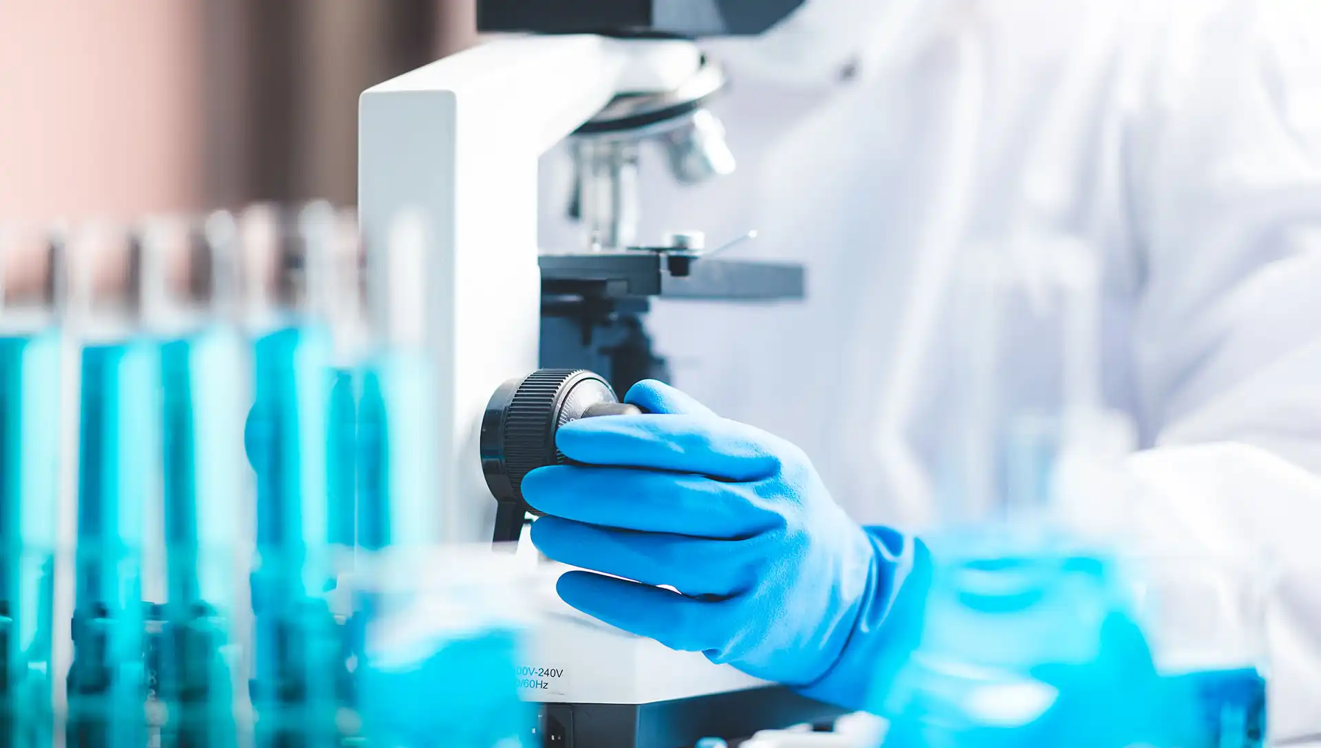 Study Assesses CB2 Receptor Agonist in Rodents